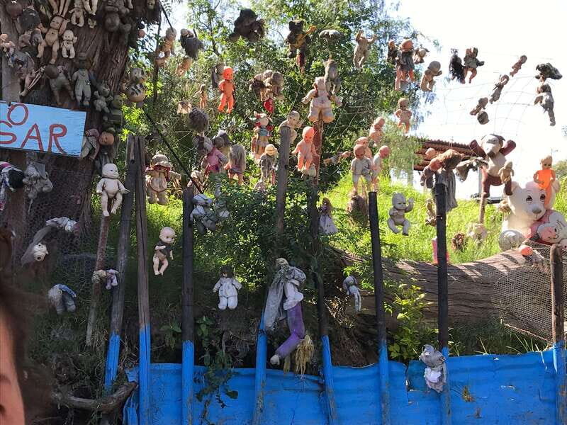 "Floating Party in Xochimilco: Canals, Tequila, and Tradition" - What Makes This Tour Stand Out?