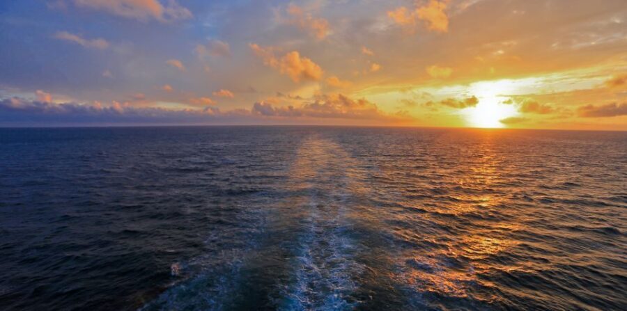 Florida: Emerald Coast Sunset & Dolphin Cruise with Guide - What Travelers Are Saying