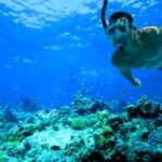 Florida Keys: Full-Day Kayak + Snorkel Coral Reef Adventure - An In-Depth Look at the Itinerary