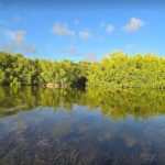 Florida Keys Kayak And Paddleboard Rentals - Discovering the Waterways of the Florida Keys