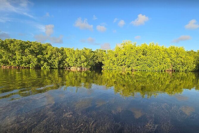 Florida Keys Kayak And Paddleboard Rentals - Discovering the Waterways of the Florida Keys