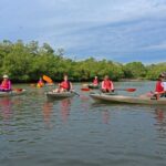 Florida Keys: Key West Kayak Eco Tour with Nature Guide - Practical Details and Considerations