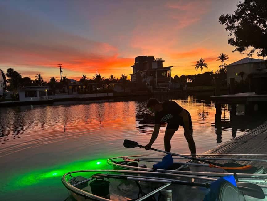 Florida: Sharkey's Guided Fish Feeding LED Night Tour - What Makes This Tour Worth It?