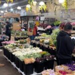 Flower District Tour - Why Youll Love the Experience