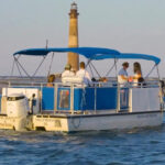 Folly Beach: Morning Dolphin Boat Trip to Morris Island - Authentic Encounters and Real Traveler Feedback