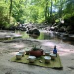 Forest Bathing & Nature Therapy Mini-Retreat - Why This Tour Stands Out