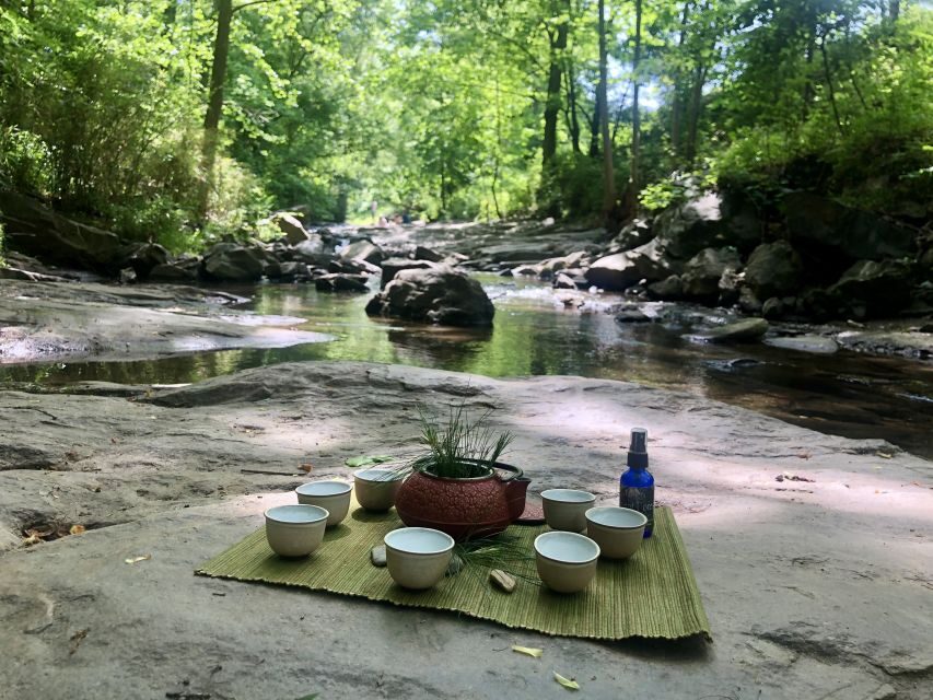 Forest Bathing & Nature Therapy Mini-Retreat - Why This Tour Stands Out