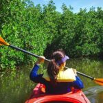 Fort Lauderdales Tropical Kayak Tour and Island Adventure - What You Might Expect & What’s Not