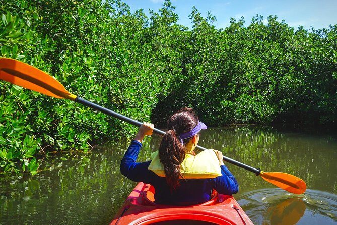 Fort Lauderdales Tropical Kayak Tour and Island Adventure - What You Might Expect & What’s Not