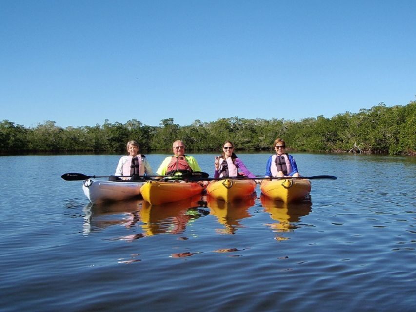Fort Myers: Guided Kayak or SUP Tour in Pelican Bay - The Sum Up