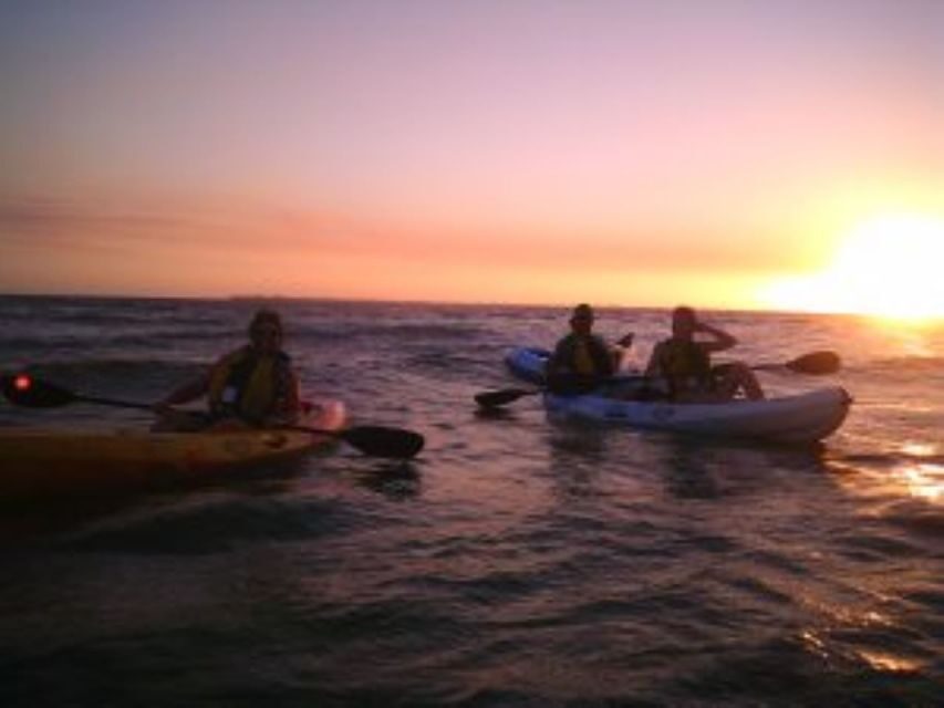 Fort Myers: Guided Sunset Kayaking Tour through Pelican Bay - Why this experience stands out