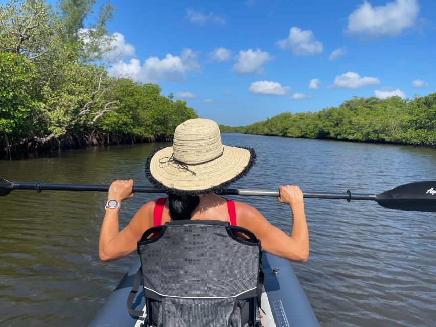 Fort Pierce: 4-hr Mangroves & Dolphin Watch Sandbar in FL - Equipment and Comfort