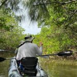 Fort Pierce: 6-hr Mangroves, Coastal Rivers & Wildlife in FL - Exploring the Mangrove Jungles