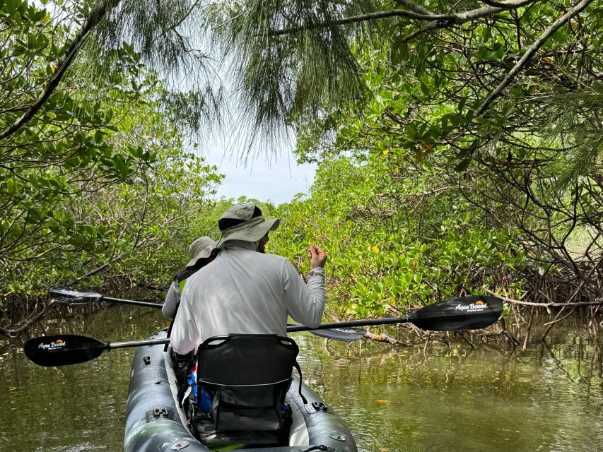 Fort Pierce: 6-hr Mangroves, Coastal Rivers & Wildlife in FL - Exploring the Mangrove Jungles