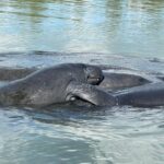 Fort Pierce: 8-hr Jungle and Lagoon passage to Ocean in FL - What the Equipment Means for You