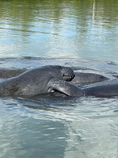 Fort Pierce: 8-hr Jungle and Lagoon passage to Ocean in FL - What the Equipment Means for You