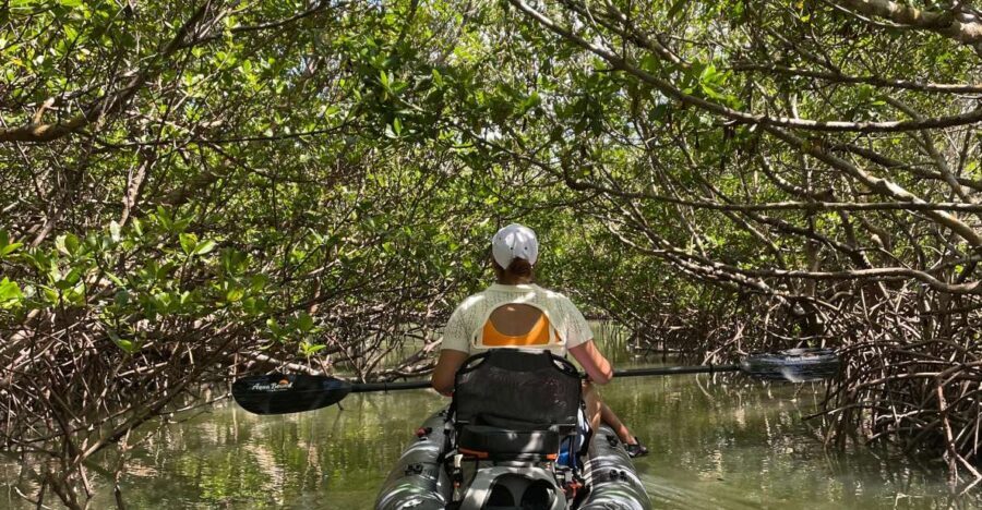 Fort Pierce: Prehistoric Preserve Kayak Tour - The Value of the Experience