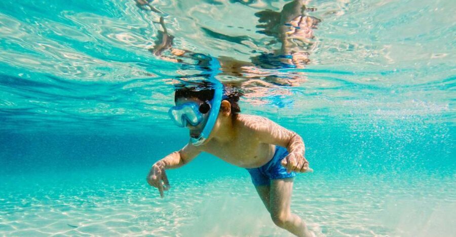 Fort Walton Beach: Morning Dolphin Cruise with Snorkel Stop - Who Will Appreciate This Tour?