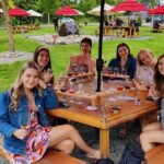 Fraser Valley & White Rock Premium Public Wine Tour - The Included Experiences: Value and Comfort