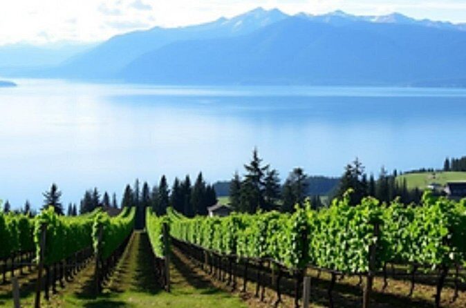 Fraser Valley Wine Escape Full Day Tour from Vancouver - What’s Included and What’s Not