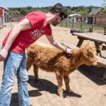 Fredericksburg Safari Tour Without Wine Tasting - FAQs