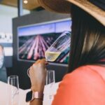 Fredericksburg Wine Trolley - Air Conditioned and Heated! - What the Tours Excelleny Means for You