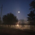 French Quarter: Haunted Hollywood Ghost Tour in New Orleans - Who Will Love This Tour?