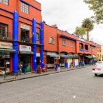 Frida Kahlo's House, Coyoacan and Xochimilco - All Day Tour - What Makes the Tour Stand Out?