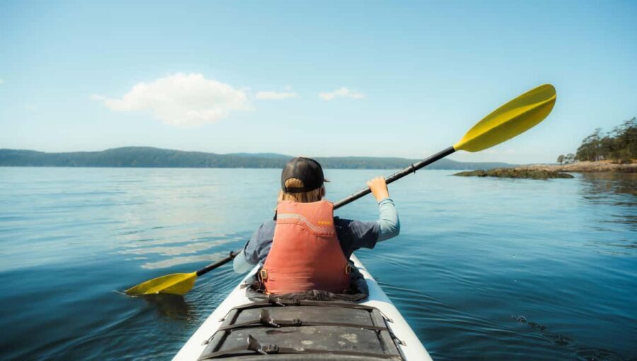 Friday Harbor: Half-Day Family Kayaking and Hiking Tour - The Logistics: Practical Details and Value
