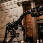 Friends Filming Locations in New York City with Private Guide - Exploring the Itinerary in Detail