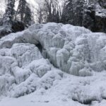 From Anchorage: Chugach State Park Winter Walking Tour - The Price and Overall Value