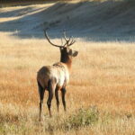 From Banff/Canmore: Deep 1 Day Tour in Banff National Park - The Value of a Guided Tour