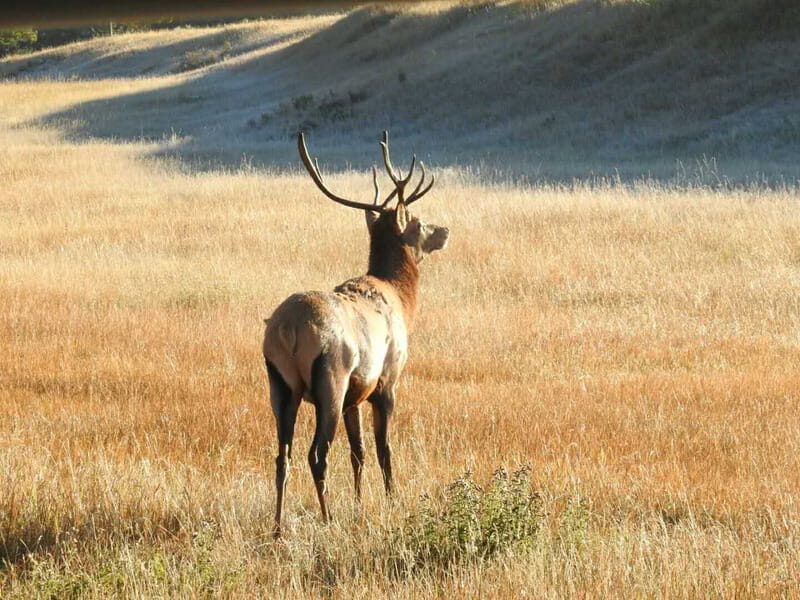 From Banff/Canmore: Deep 1 Day Tour in Banff National Park - The Value of a Guided Tour