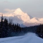 From Banff: Icefields Parkway & Abraham Lake Ice Bubbles - Who Will Love This Tour?