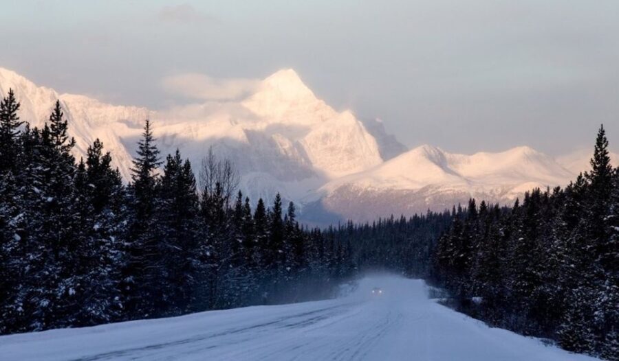 From Banff: Icefields Parkway & Abraham Lake Ice Bubbles - Who Will Love This Tour?