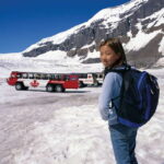 From Banff/Lake Louise: 1-Way Sightseeing Tour to Jasper - Why This Tour Offers Great Value