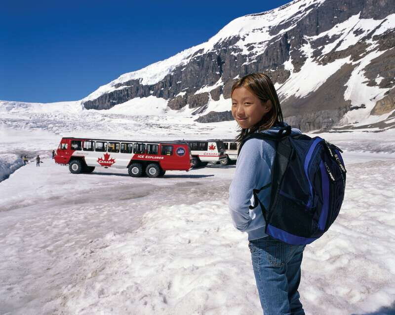 From Banff/Lake Louise: 1-Way Sightseeing Tour to Jasper - Why This Tour Offers Great Value