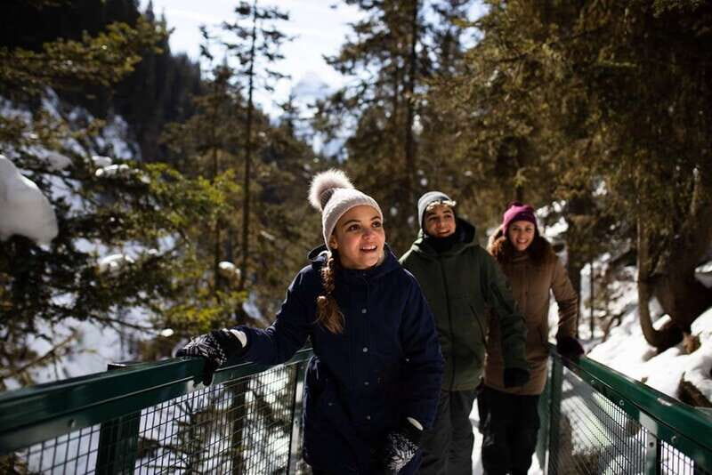 From Banff: Winter Wonderland; Lake Louise & Johnston Canyon - The Highlights in Detail