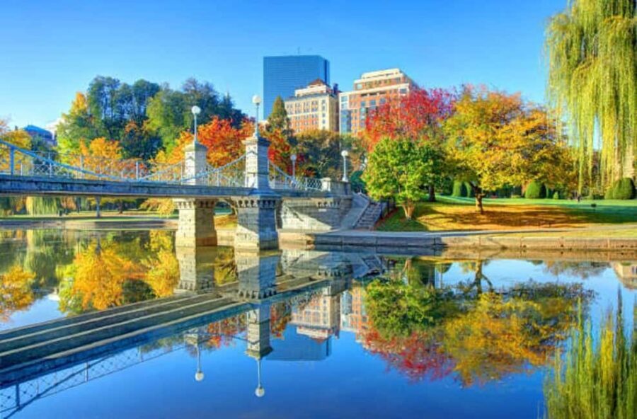 From Boston:Public Garden,Beacon Hill&More Half Day tour - The Practical Side: What You Need to Know