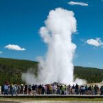 From Bozeman: Yellowstone Day Tour (Lower Loop) - What You Can Expect During the Day