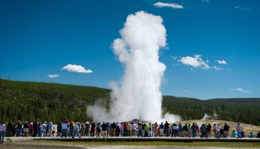 From Bozeman: Yellowstone Day Tour (Lower Loop) - What You Can Expect During the Day