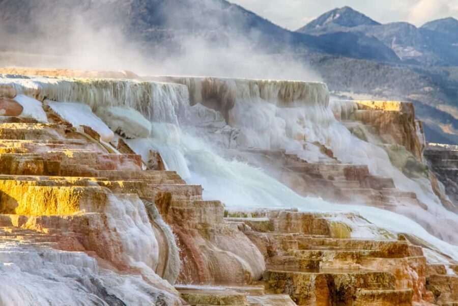 From Bozeman: Yellowstone Day Tour (Upper Loop) - Price and Value: What’s It Worth?