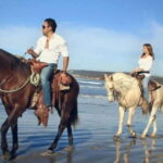From Bufadora: Horseback Adventure - Authenticity and Value