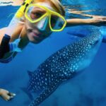 From Cabo: Snorkel with Whale Sharks in La Paz - What to Expect: The Details of the Day