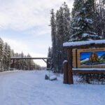 From Calgary/Banff/Canmore: Rockies Day Trip with Icefield - Who Will Love This Tour?
