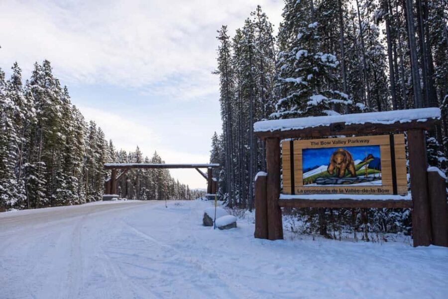 From Calgary/Banff/Canmore: Rockies Day Trip with Icefield - Who Will Love This Tour?