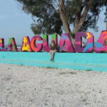 From Campeche: Isla Aguada Dolphin Encounter Tour - FAQ