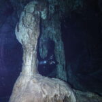 From Cancun: 2 Dives in Cenote Dos Ojos for Certified Divers - What You Can Expect During Your Dives