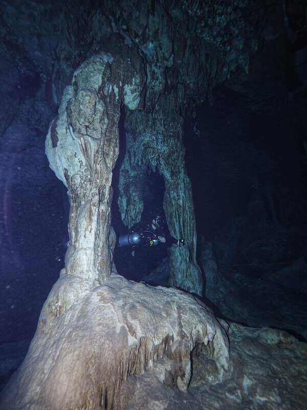 From Cancun: 2 Dives in Cenote Dos Ojos for Certified Divers - What You Can Expect During Your Dives