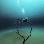 From Cancun: Angelita and Taj Ma Ha Cenote Diving Experience - Why Choose This Experience?